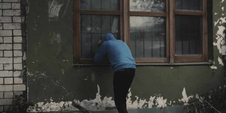 Qué es el delito de Hurto. Qué Penas tiene el Hurto y Tipos